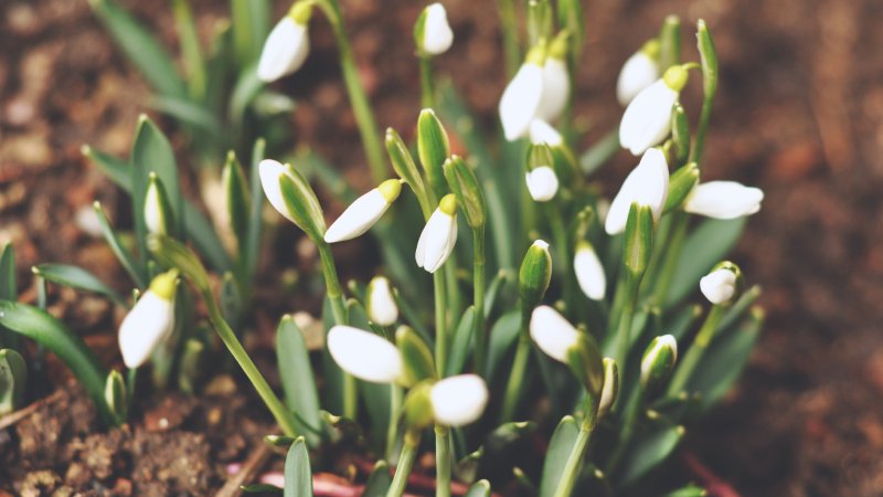 Talk #4: When God Helps According to His Own Rules | Faber Institute