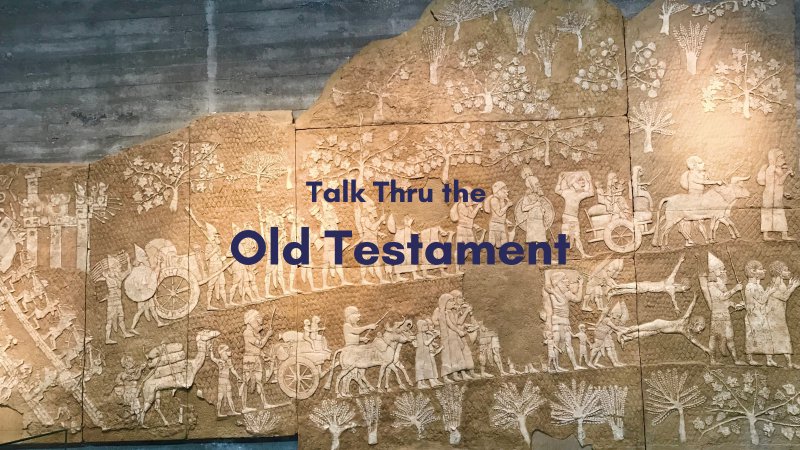 Beginnings | Disciple Daily