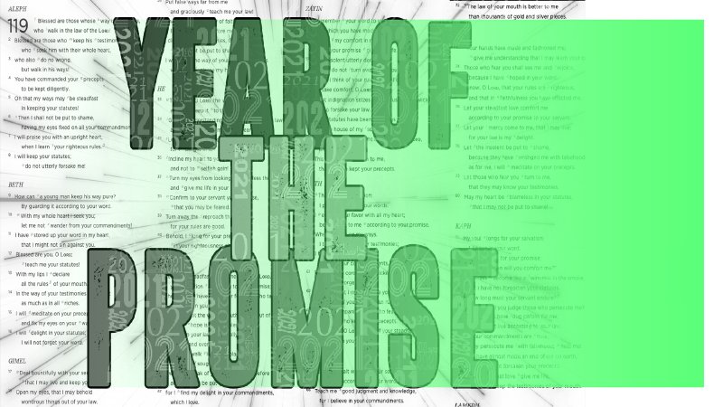 Year Of The Promise | Village Chapel