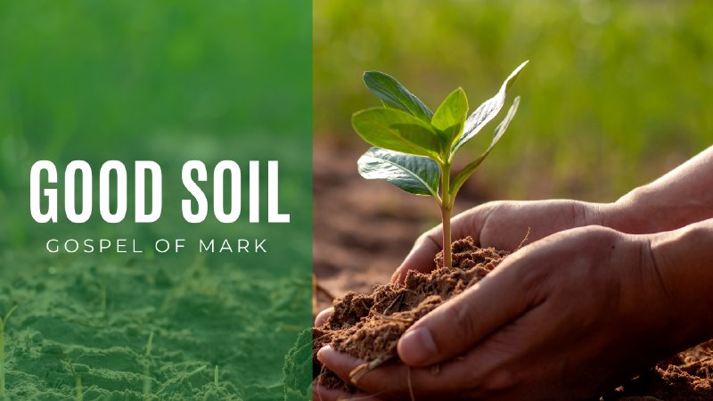 Good Soil | Kingsway Christian Church