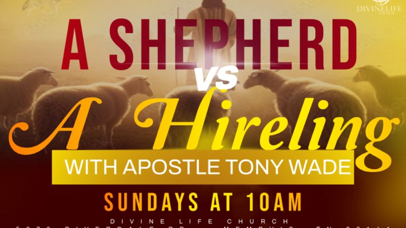 A Shepherd Vs A Hireling (Audio) | Divine Life Memphis