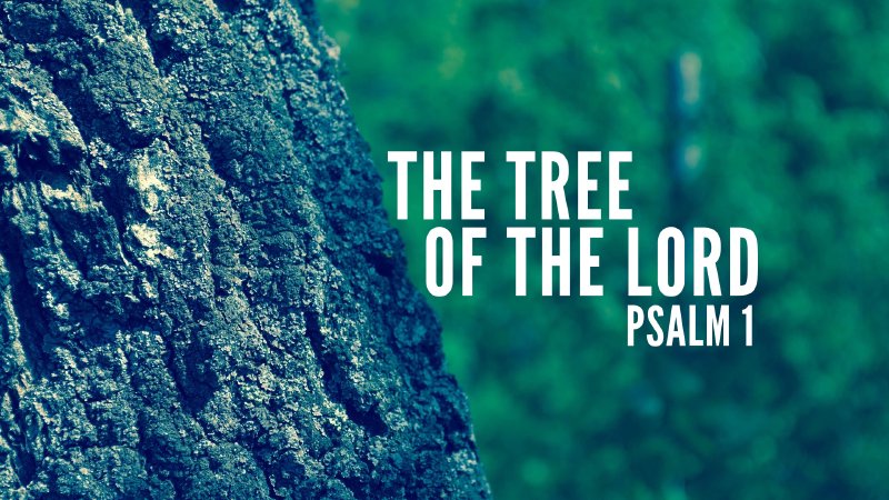 The Tree Of The LORD | Living Faith Christian Church