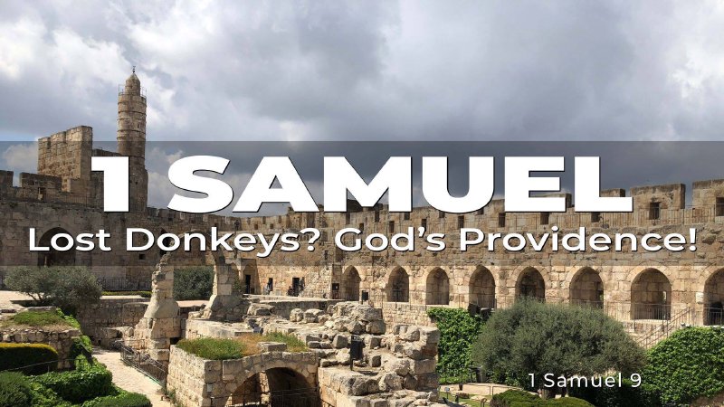 Lost donkeys? God’s Providence! | Family Church PC