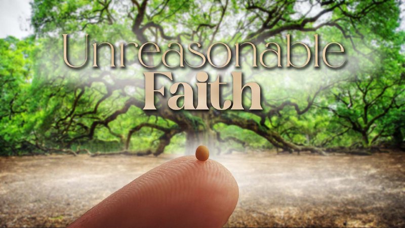 The Identity of Jesus | Christ Church - NC