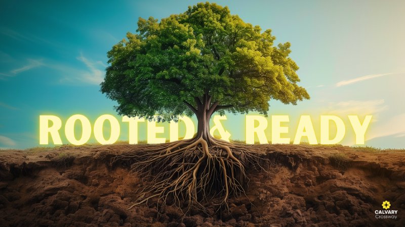 Vision 2025 - Rooted and Ready | Calvary Crossway - Castle Rock
