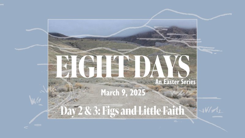 Figs & Little Faith | Snyder Memorial Baptist Church | Fayetteville, NC