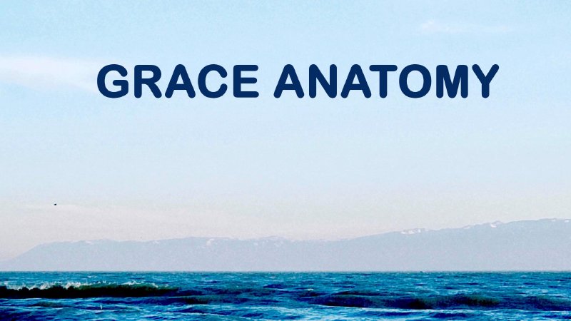 Grace Anatomy (Message Only) | The Lake Church