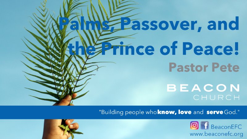 Palms, Passover, and the Prince of Peace! | Beacon Evangelical Free Church