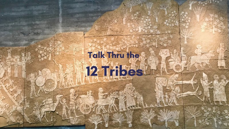 Twelve Tribes | Disciple Daily