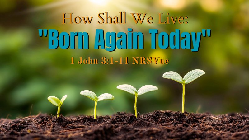 How Shall We Live: "Born Again Today" | Gray United Methodist Church