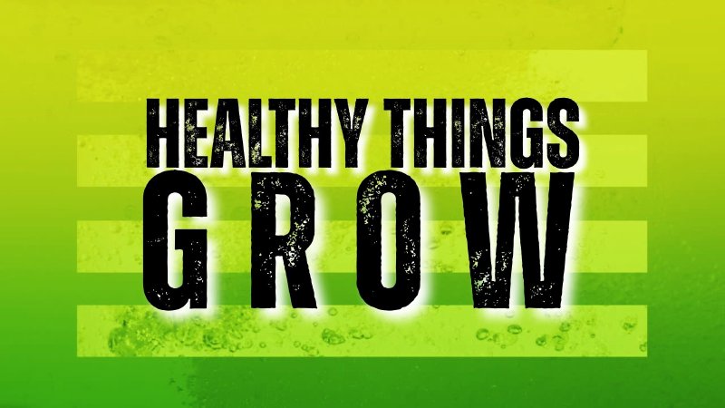 Healthy Things Grow, week 3 | St. John Church - Turnersville, NJ