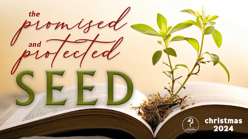 The Promised and Protected Seed | Plymouth Community Church