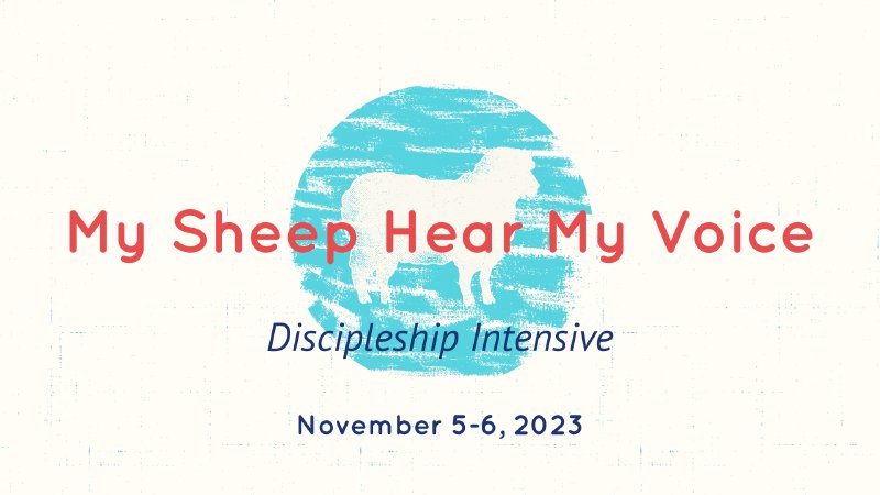 Discipleship Intensive Session 3 Friendswood Baptist Church