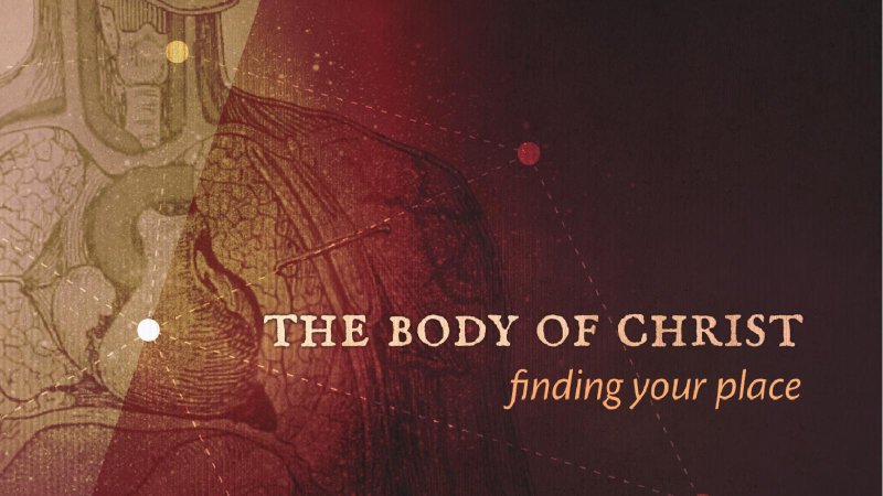 The Body of Christ: Complimenting Each Other | Restoration Ministries