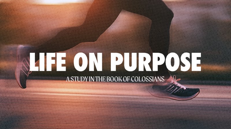 Find Your Purpose in Life - Intro | LifePoint Lebanon