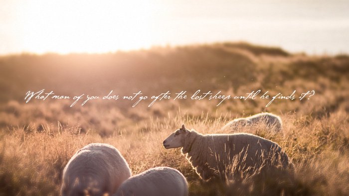Sheep Man Quotes Quotes About Success Man Is The Only Animal That