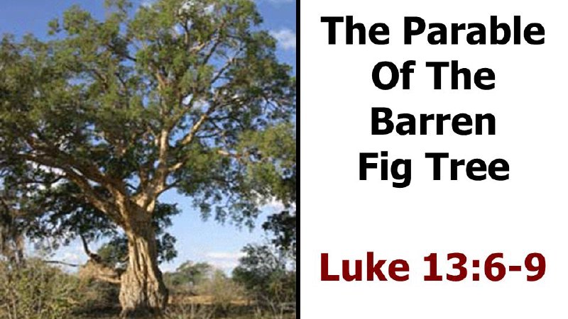 The Parable of the Barren Fig Tree | Shady Grove Baptist Church - NC