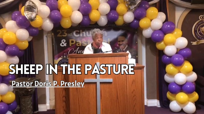 Sheep in the Pasture | Good Success Christian Church and Ministries