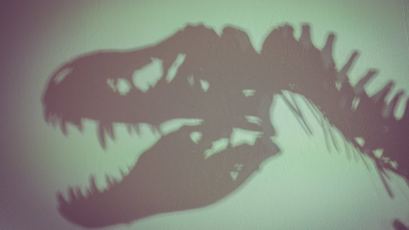 Lesson 16 - Dinosaurs & The Bible | Mineral Baptist Church