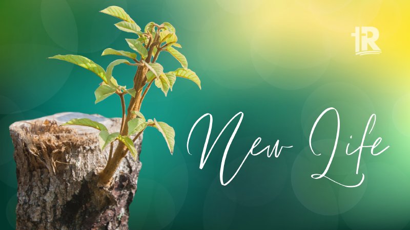New Life | Pastor James Grayson | February 11, 2024 | River of Life ...