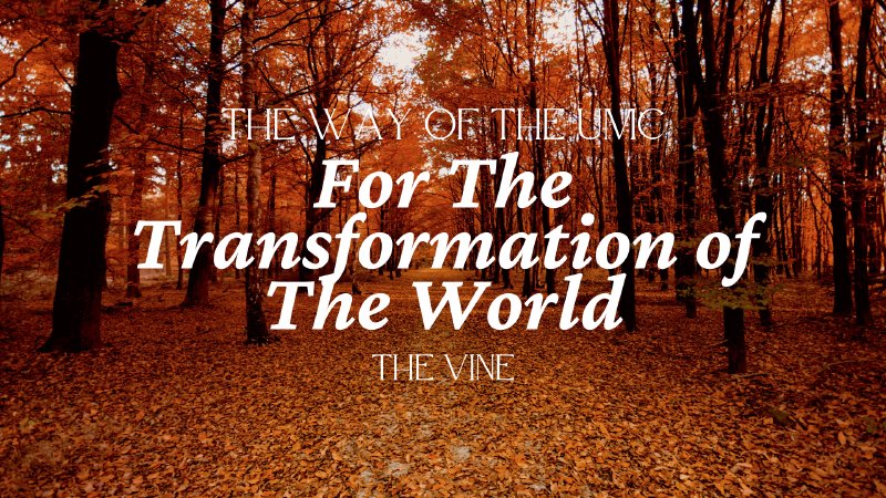The Way of The UMC: For The Transformation of The World (The Vine ...