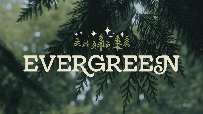 Evergreen | Part 2: The Hidden Secrets in Jesus' Family Tree | Nona Church