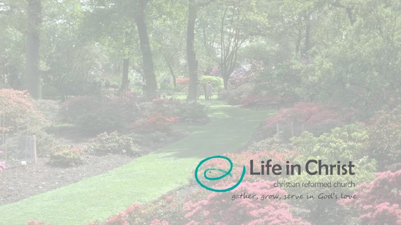 7/10/22 Worship Service | Life in Christ CRC