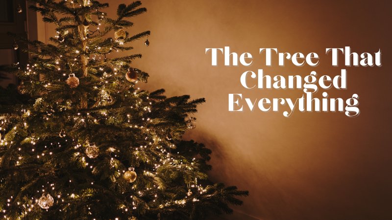The Tree That Changed Everything | Liberty Church NC