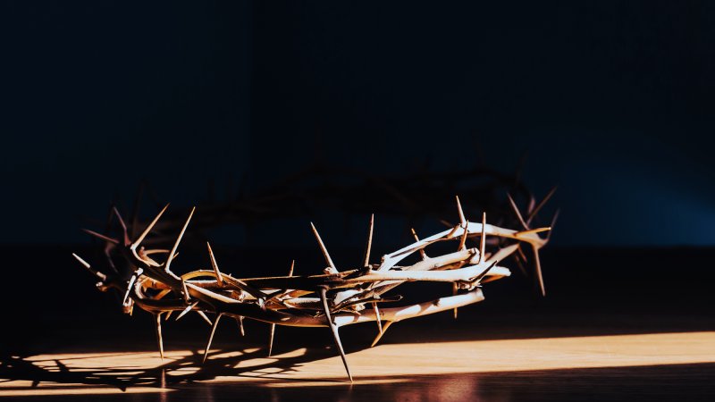 The Exalted Christ | Belcroft Bible Church