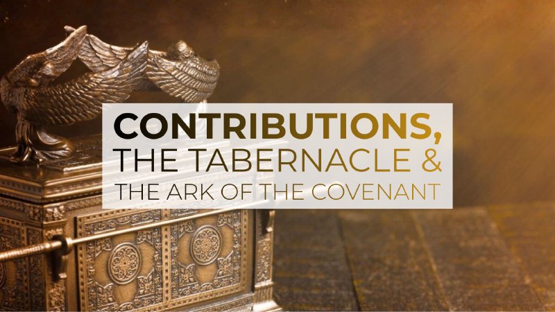 Contributions, The Tabernacle, And The Ark of the Covenant | Anchor ...