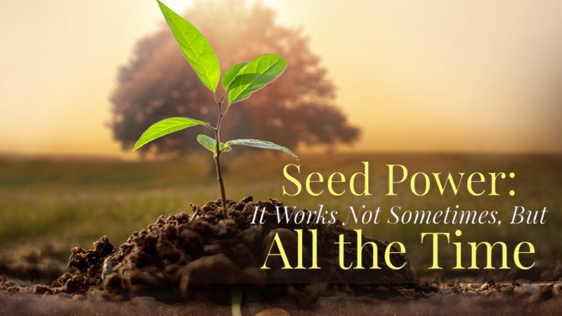 Seed Power: It Works Not Sometimes, But All the Time! | TotalJDM