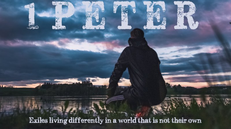 The Bible Project: 1 PETER Overview | Northstar Pulaski
