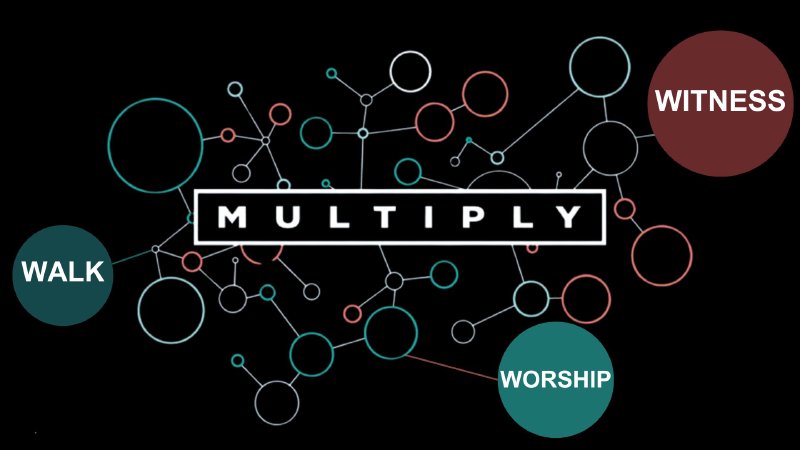 Witness - Week 1 | CrossPointe Church