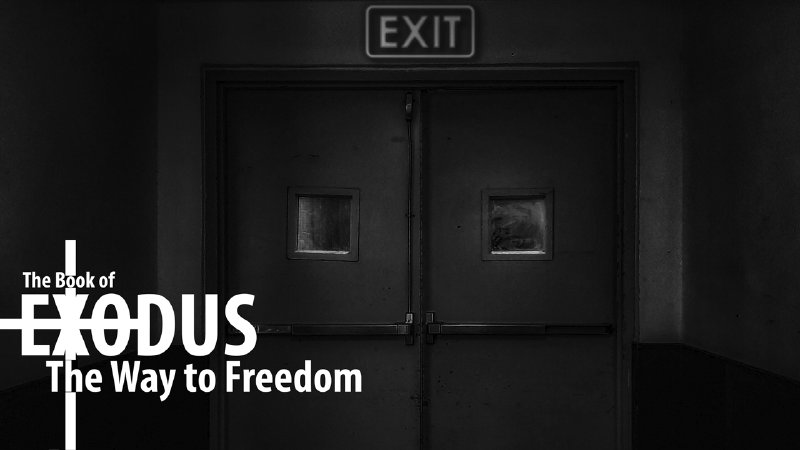 Exodus: The Way To Freedom - Chapters 10:27-12:51 - The Cover of Blood ...