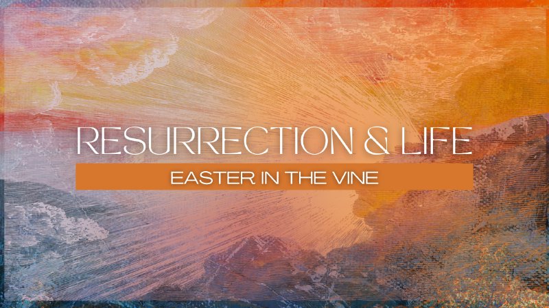 Resurrection & Life | Easter in The Vine | First-Centenary United Methodist