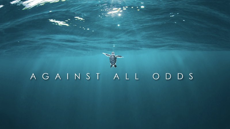Against All Odds Part 2 | NewLifeCT
