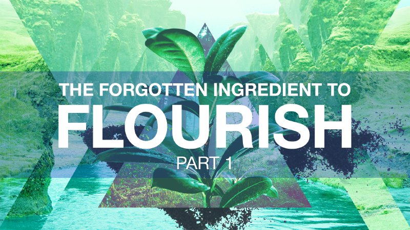 The Forgotten Ingredient to Flourish | The Rock Church Temecula Valley