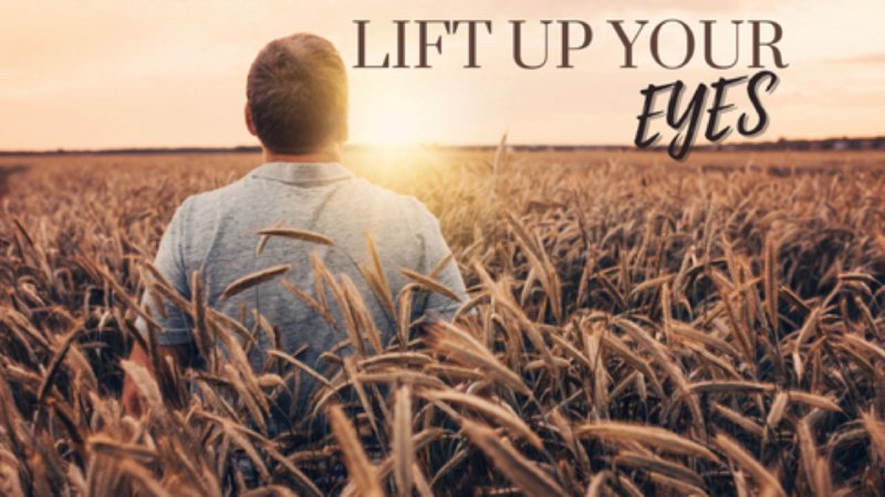 Lift Up Your Eyes | Living Stones Church of Houston, Inc.