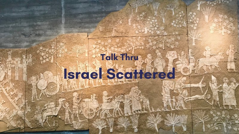 Israel Scattered | Disciple Daily
