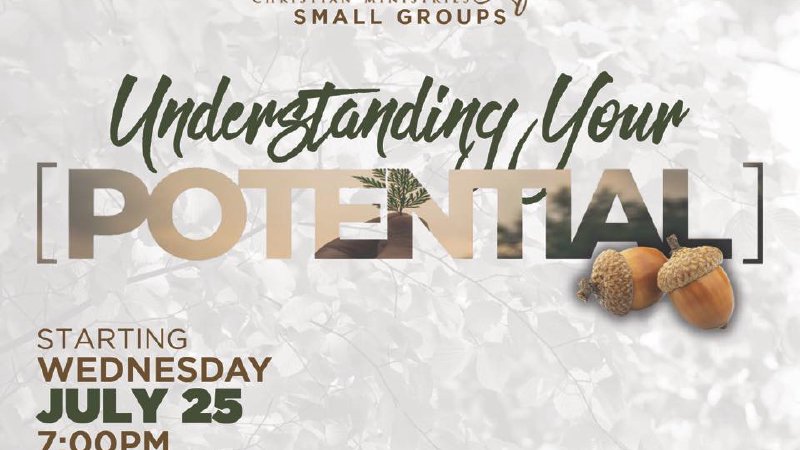 Understanding Your Potential | KLCM