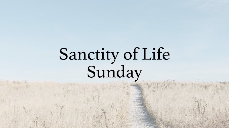 Sunday Life Logo Timeless Clothing – Sunday's Child