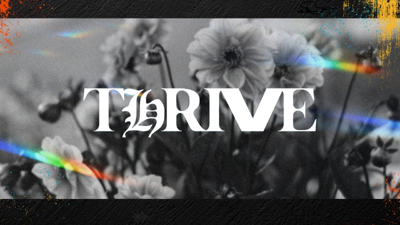 Thrive 7 | Word of Life Christian Center - DE