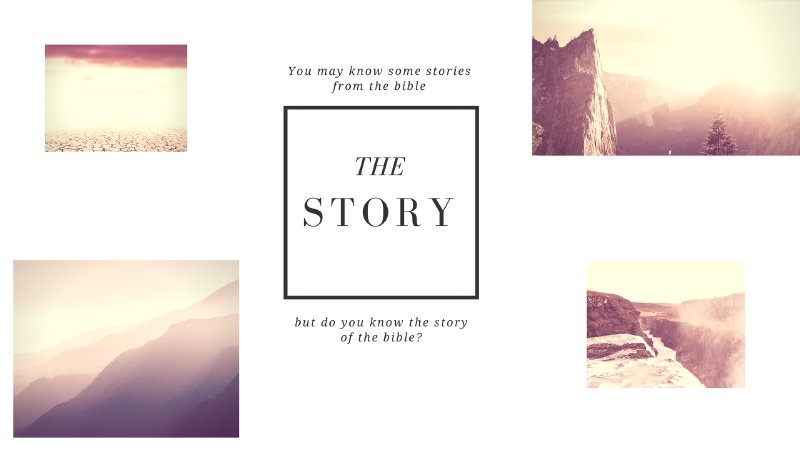 The Story (Week 1) | LifeSwitch