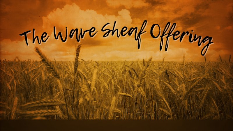 The Wave Sheaf Offering | Abundant Life