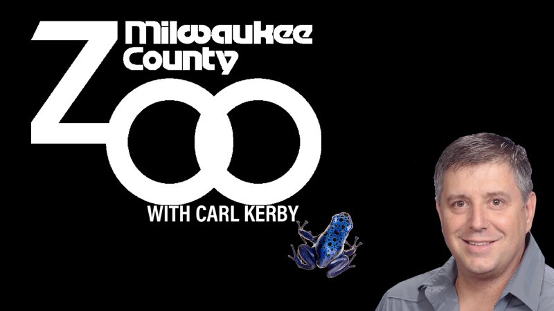 Welcome! | Reasons for Hope