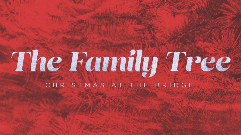 The Family Tree | Week 2 | The Bridge Community Church