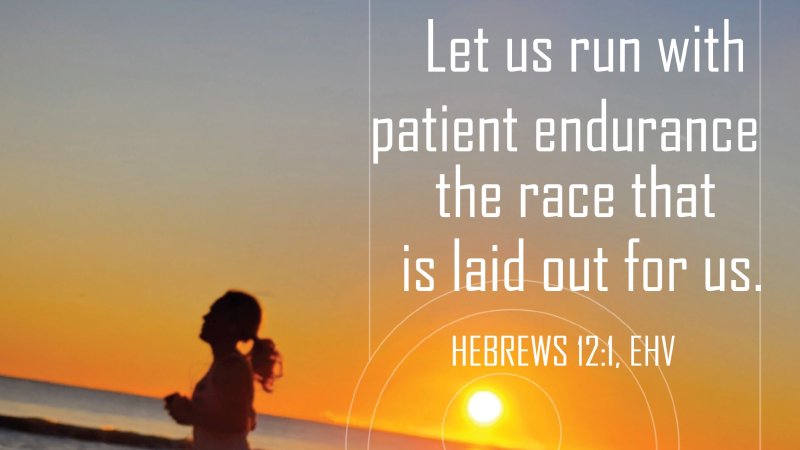 Proper 15 | St John's Evangelical Lutheran Church