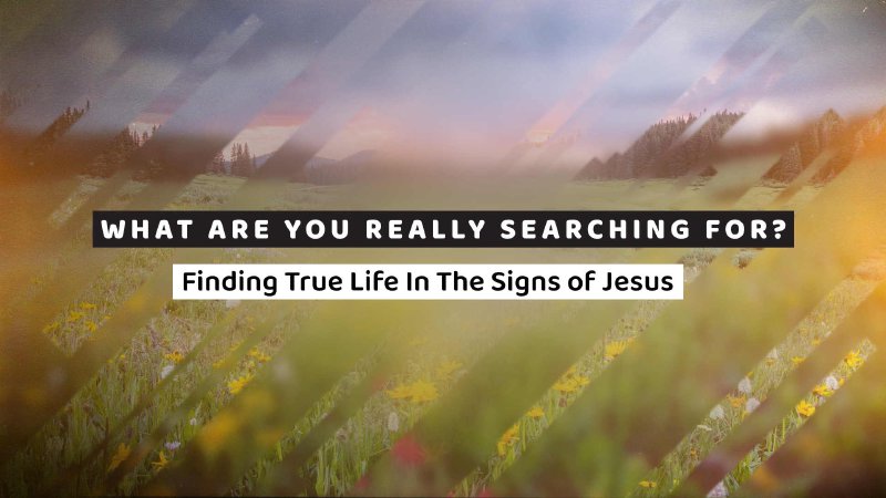 Joy At A Wedding | Highline Community Church - Serving The Denver Tech ...