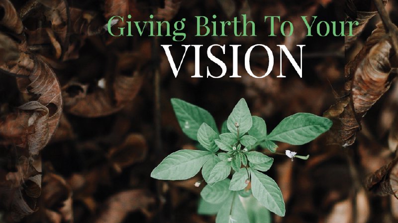 Giving Birth to Your Vision | TotalJDM