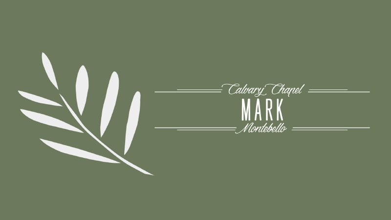 Jesus, Master Of Everything | The Ark Montebello